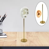 Earring Display Rack Human Ear Model Stud Holder Party Stable Tabletop ...