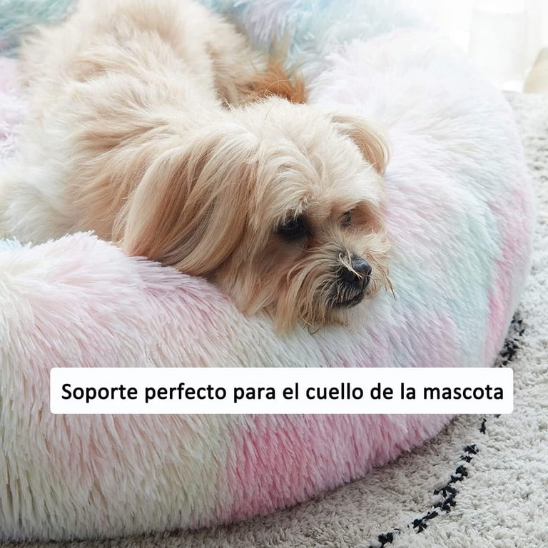 Walmart Permite Perros