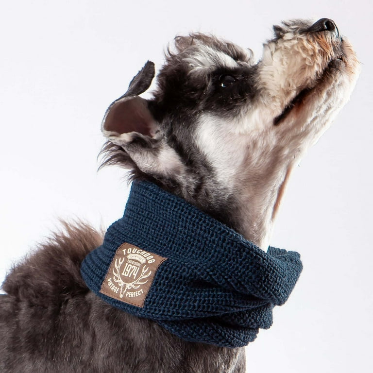 Dog winter scarf store