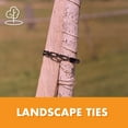 EasyFlex Plastic Locking Tree, Plant and Cable Ties, 1-Inch by 100-Feet ...
