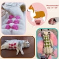 Cat Dog Beach Bikini Swimming Cap Puppy Bathing Dress Suit Summer Funny ...