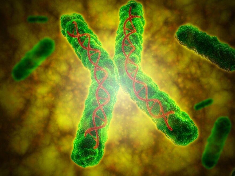 Conceptual image of a telomere. A telomere is a region of the DNA ...