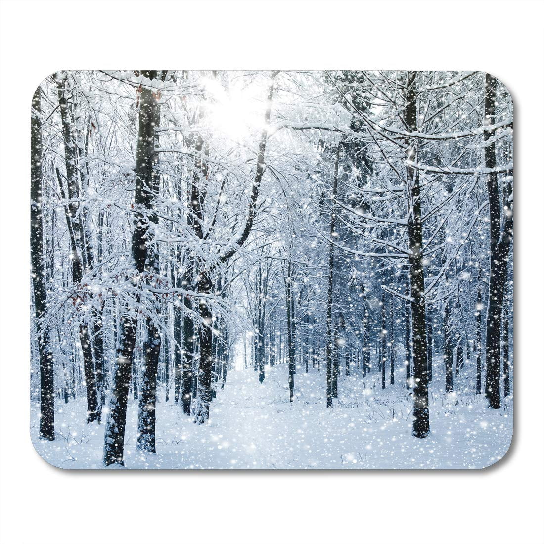 SIDONKU Blue Snow Winter Landscape Forest Falling Weather Snowy Magic ...