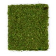 SuperMoss InstantGreen Moss Mat - 4 x 1.5 feet - Walmart.com
