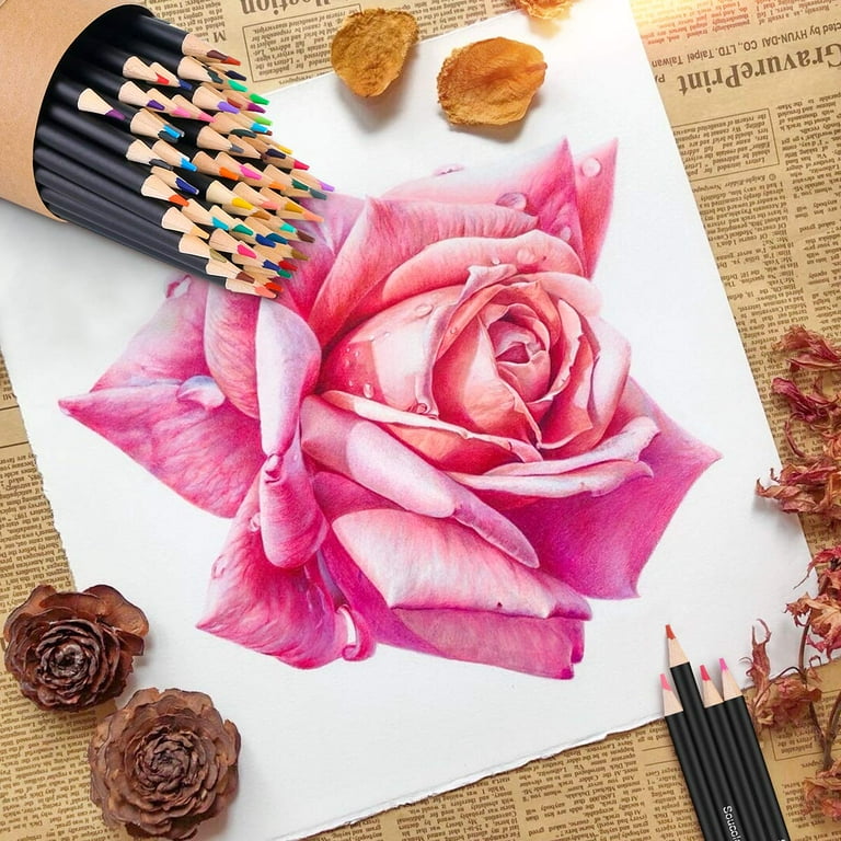 Color Pencils Drawing