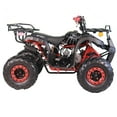 X-Pro Brand New 125cc Gas ATV, Automatic Transmission w/Reverse Remote ...
