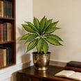 Green Wall Decoration, Artificial Outdoor Plants, Fake Wheat Grass UV ...