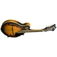 Washburn F-Style Spruce Top Acoustic Electric Mandolin Pack with ...