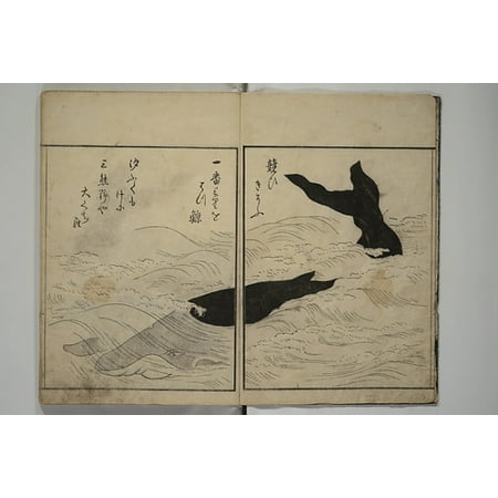 The Servants of the Dragon King of the Sea: Fish and Shells (Tatsu no ...