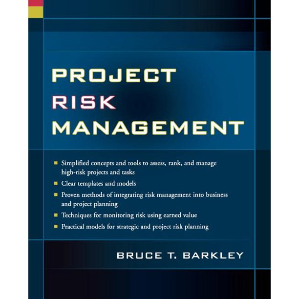 Project Management: Project Risk Management (Paperback) - Walmart.com