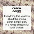 Caron® Simply Soft® Ombre™ #4 Medium Acrylic Yarn, Grape Purple Ombre ...