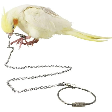P5HAO Bird Leash Parrot Foot Chain，Anti-bite Stainless Steel Anklet ...