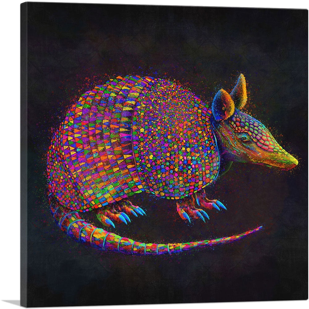 ARTCANVAS Armadillo Canvas Art Print - Size: 18" x 18" (1.50" Deep) - Walmart.com
