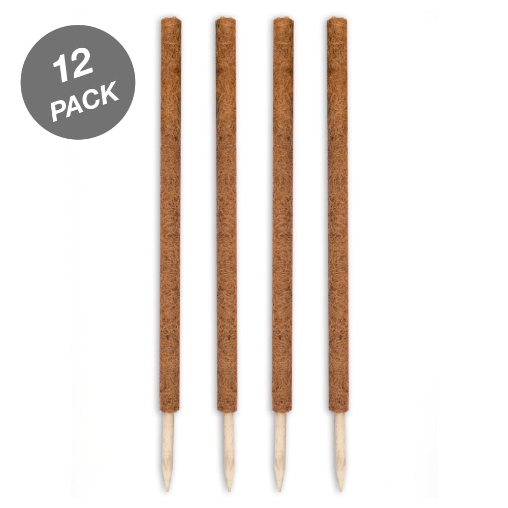 Envelor Coco Moss Poles Plant Support Stakes Coco Plant Stake Pothos ...