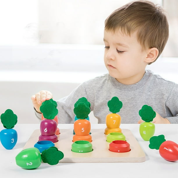 Carrort Number Color Matching, Wood Safe Carrort Number Color Matching ...