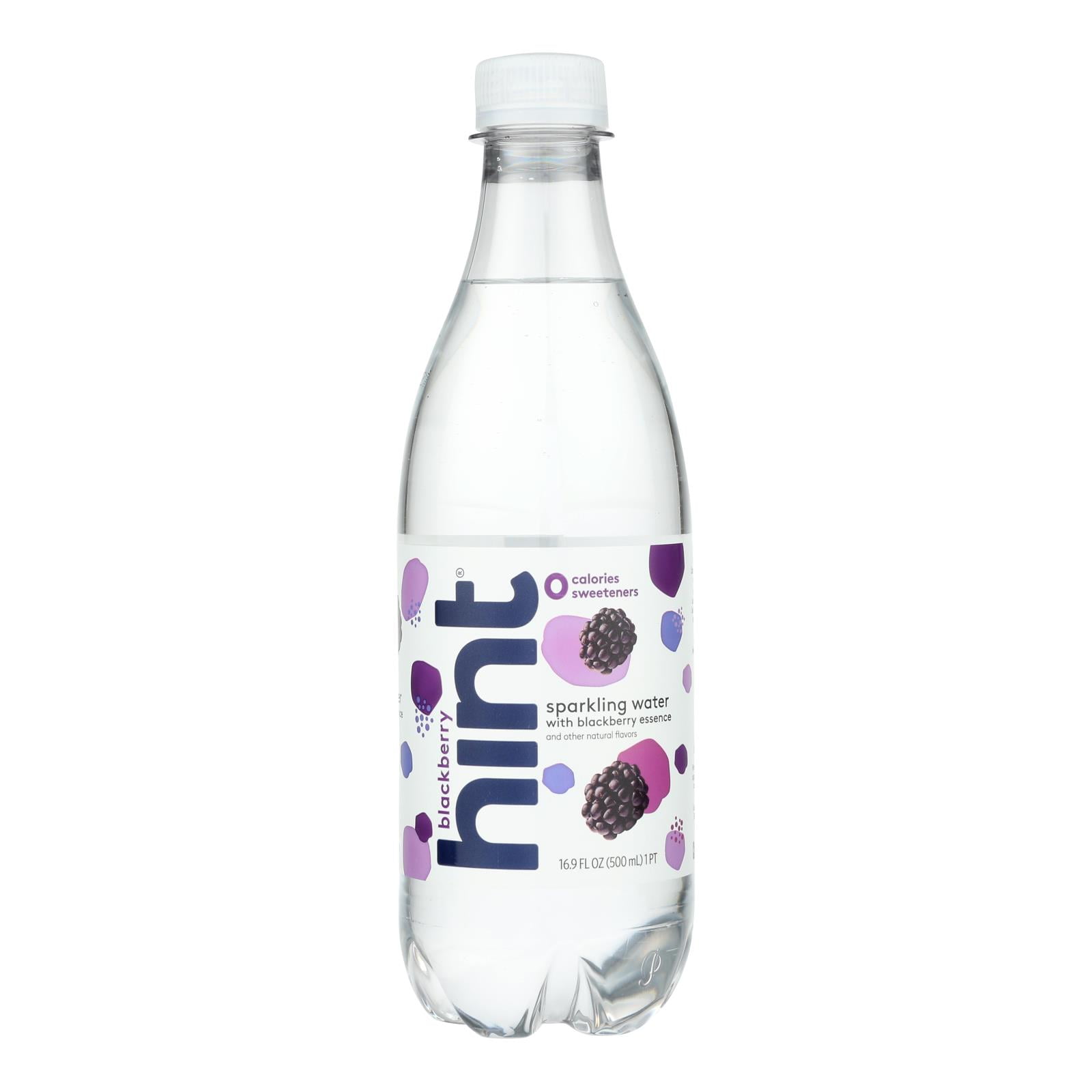 Hint Fizz Sparkling Water, Blackberry - Case of 12 - 16.9 FZ - Walmart.com