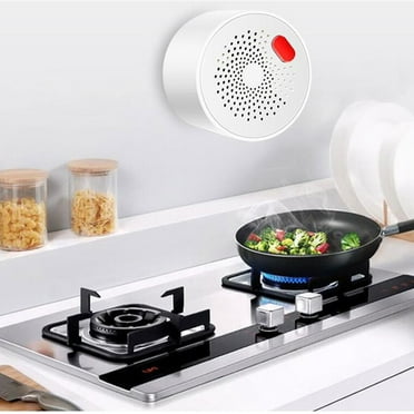 Dcenta WiFi Gas Leak Alarm Sensor for Natural Gas Biogas Methane ...
