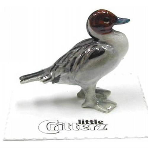 "Sprig" Pintail Duck - LC523 - Walmart.com