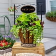 Better Homes & Gardens 2.5gal Multicolor Coleus Lysimachia Live Annual ...