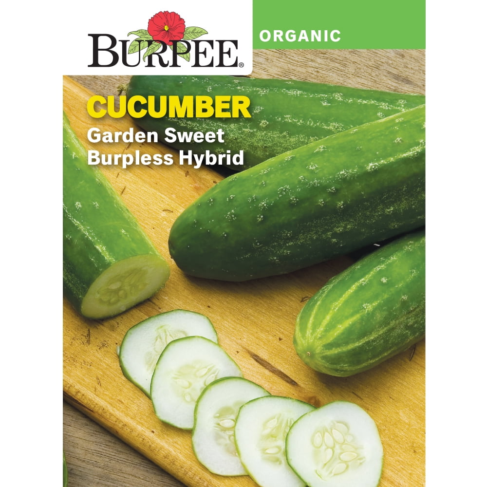 Burpee Organic Garden Sweet Burpless Hybrid Cucumber Vegetable Seed, 1 ...