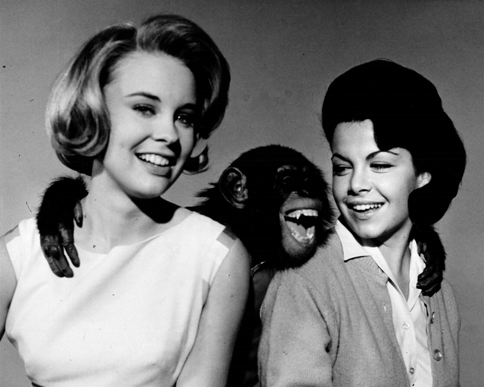 The Monkey's Uncle 1965 movie Cheryl Miller Annette Funicello 5x7 inch ...