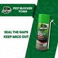 Sprayman Pest Blocker Straw Foam, 12oz-2 Pack - Walmart.com