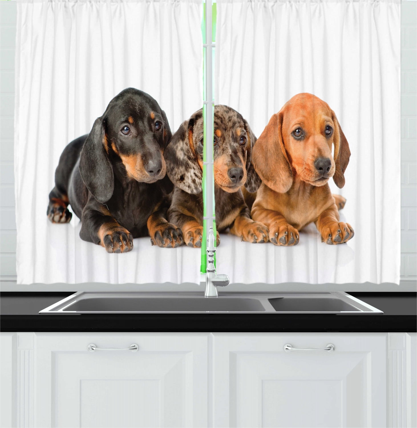 Dachshund Curtains 2 Panels Set, Dog Lover Photo of Sweet Long Torso ...