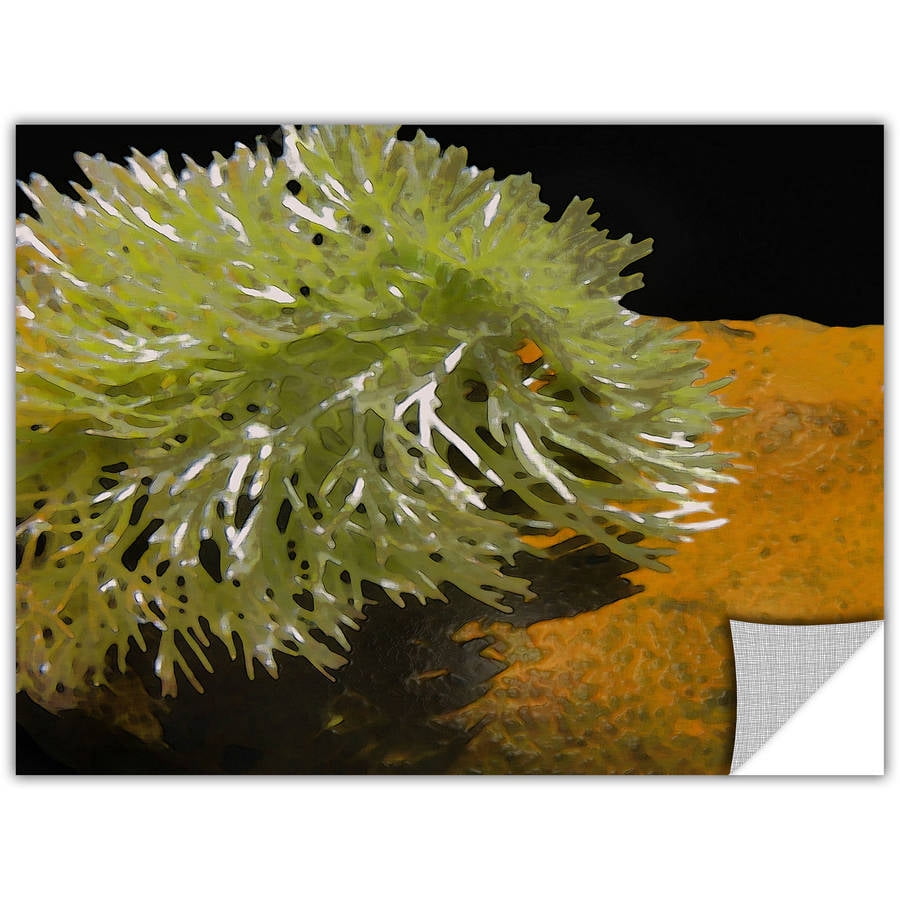 Dean Uhlinger Natural Selection, Art Appeelz Removable Wall Art Graphic ...