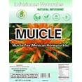 B-EXPERTS Muicle TÃ©, Mexican Honeysuckle Herbal Tea, 4 oz, 100% ...
