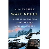 A Long Way Gone: Memoirs of a Boy Soldier (Paperback) - Walmart.com