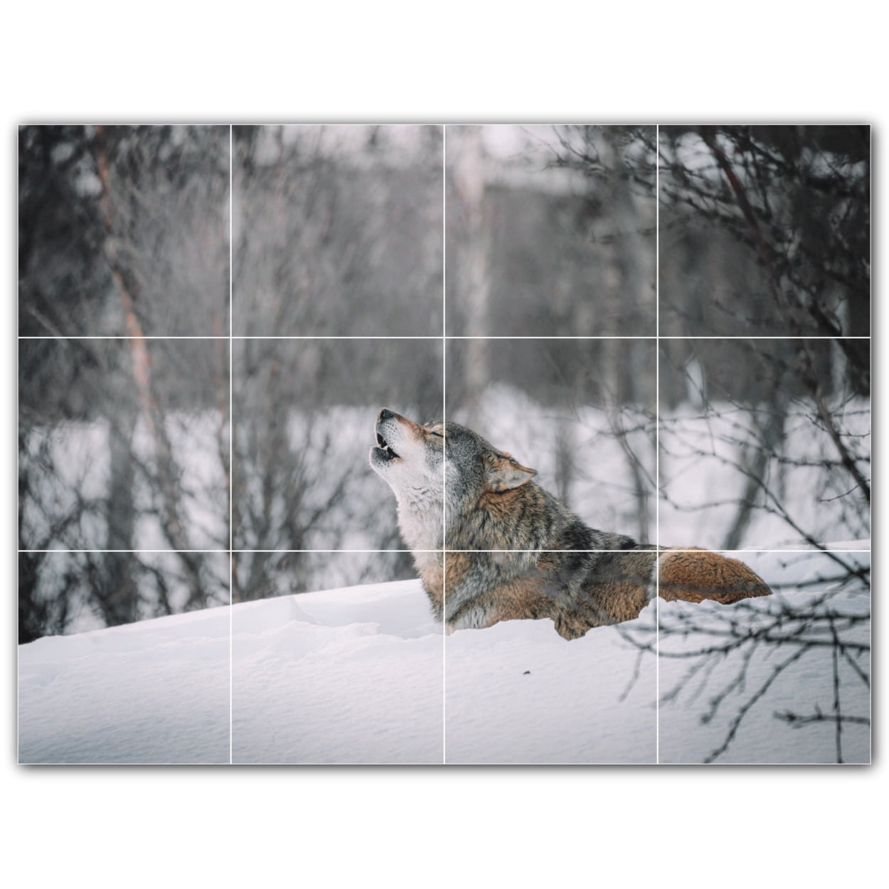Picture-Tiles.com: Wolf Ceramic Tile Wall Mural WAL501231-43M. 24"W x ...
