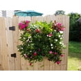 Emsco Group 2490-1 Wall Flowers Pickers Garden System, 17" x 17" Panel ...