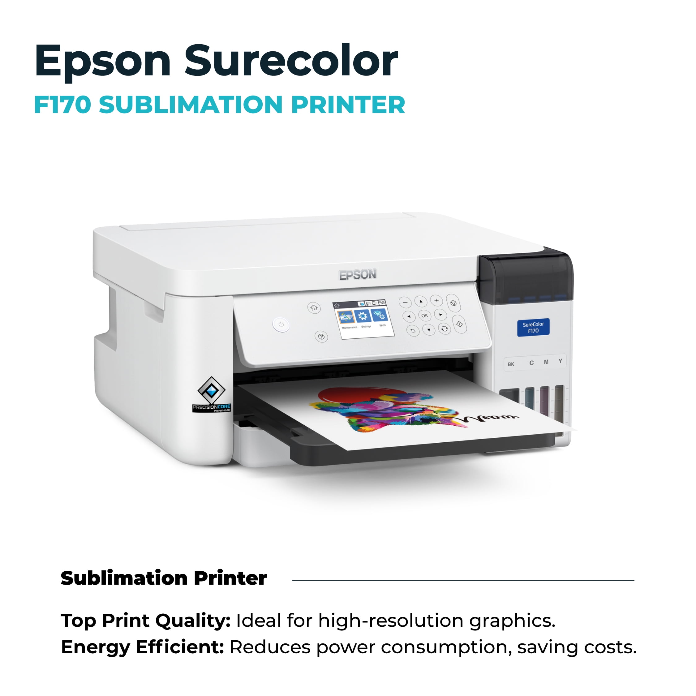 Epson surecolor f170 store