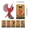 Bird Assembly Kit DIY 3D Paper Model Educational Kit With Realistic ...
