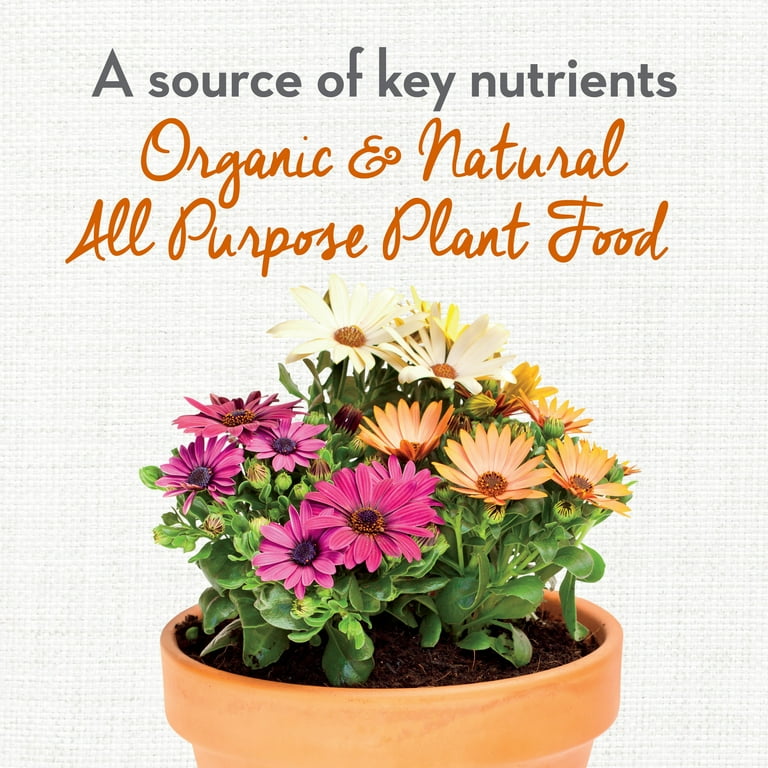 Flowering Plant Food Organic