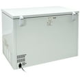 NSF Certified 44" Chest Freezer 10 cu. ft. Commercial Deep Freezer with ...