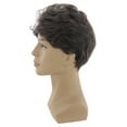 Fridja Fashion Short Wigs for Men Wig Man Male Brown Handsome Cool Wig ...