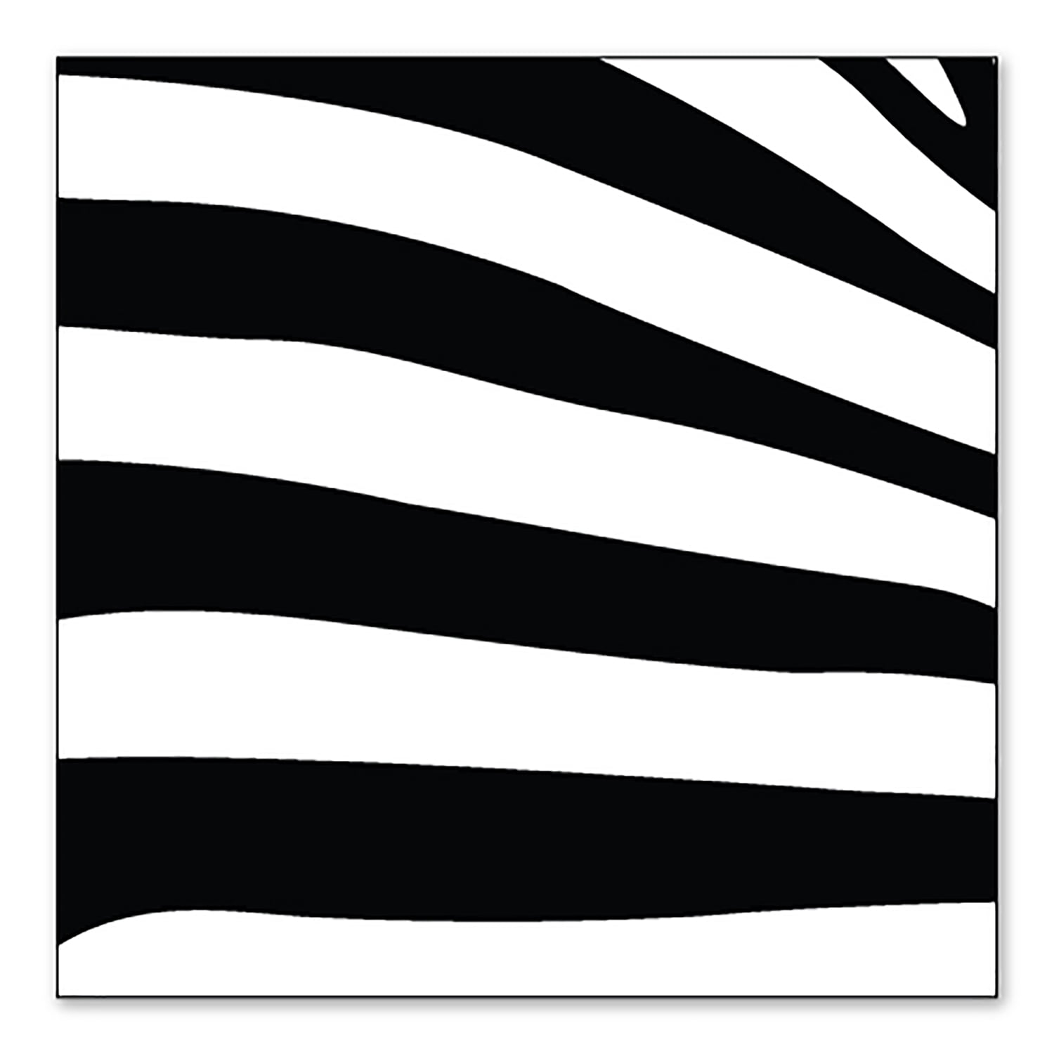 DistinctInk Custom Bumper Sticker - 4" x 4" Decorative Decal - White ...