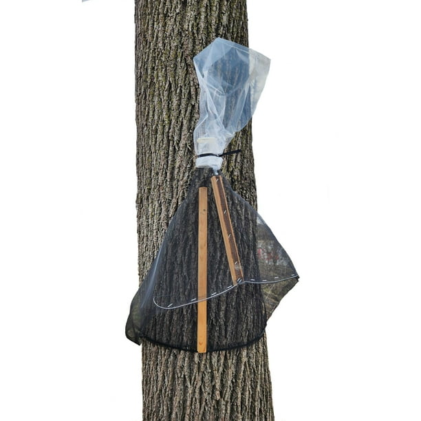 LanternFly Trap Co Tree Trap - Catch Spotted Lantern Fly Without ...