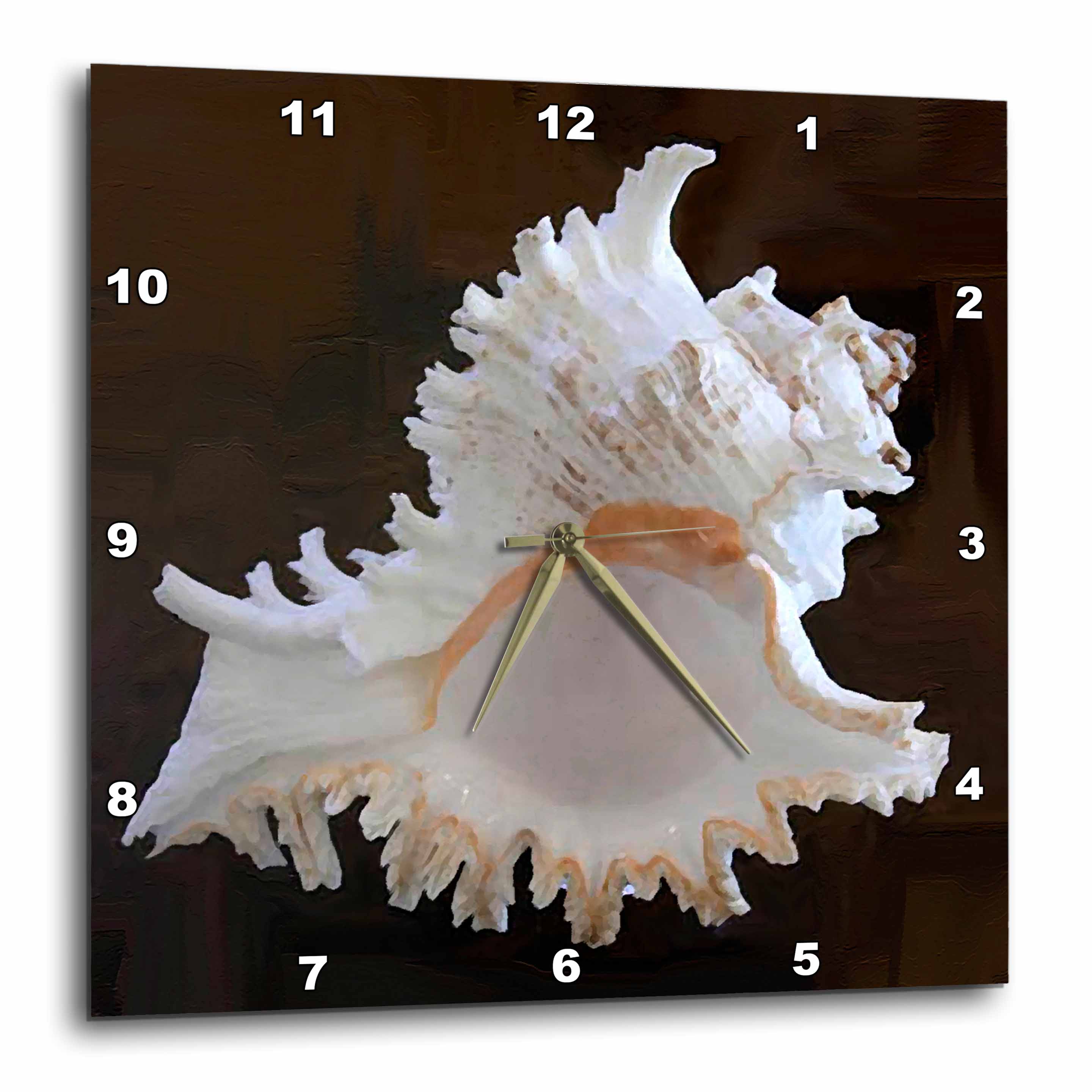 3dRose Sea Shell - Wall Clock, 10 by 10-inch - Walmart.com