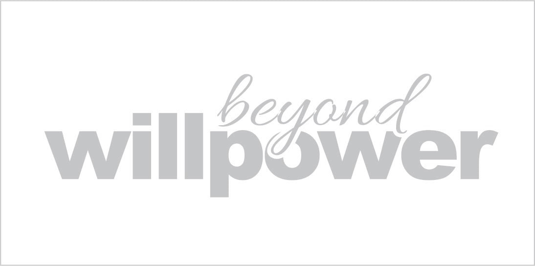Beyond Willpower Vinyl Decal - Large - Silver - Walmart.com