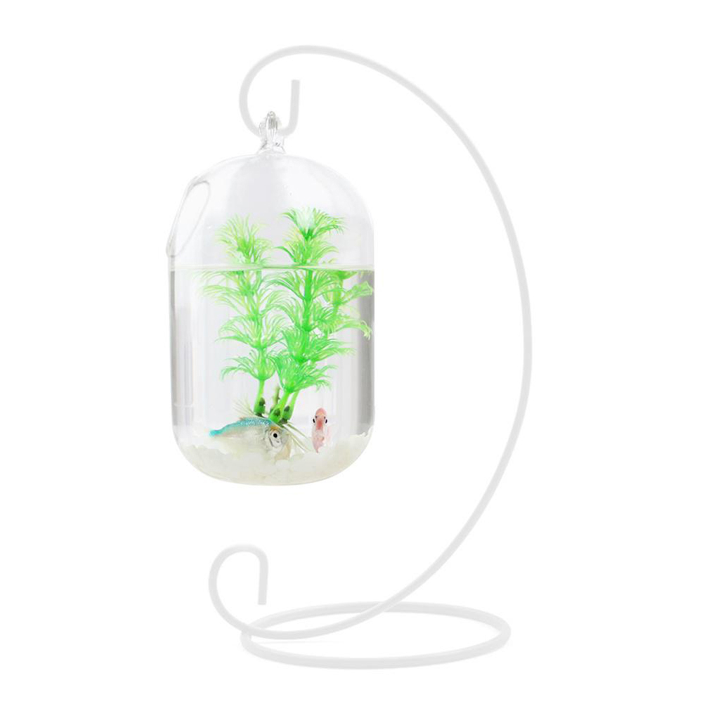 15cm Suspended Transparent Hanging Glass Fish Tank Infusion Bottle ...