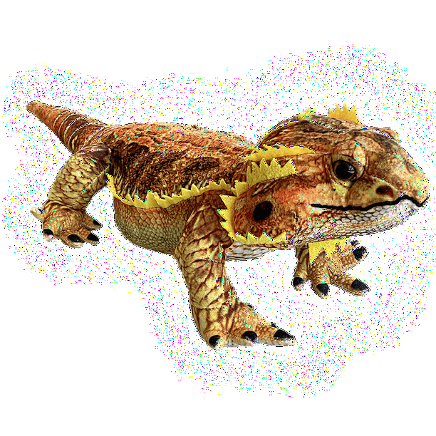 Texas Toy Distribution - Bearded Dragon 24" Plush Stuffed Animal ...