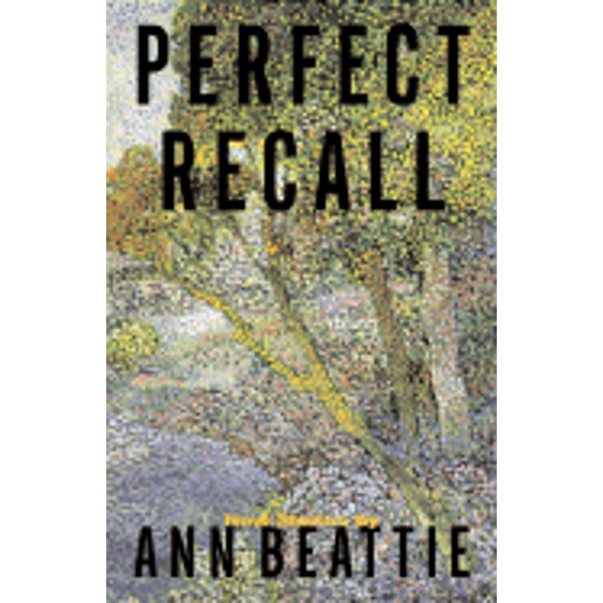 Perfect Recall : A Short Story - Walmart.com