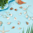 30Pcs 6 Styles Natural Mixed Shell Pendants Copper Wire Wrapped Shell ...
