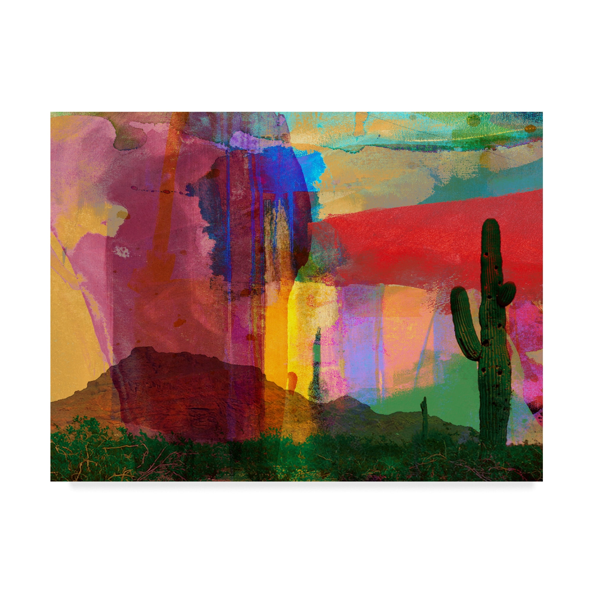 Trademark Fine Art 'Mesa Abstract' Canvas Art by Sisa Jasper - Walmart.com