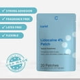 Curist Lidocaine Pain Relief Patches 20 Ct USA Made for Back Pain 4% ...