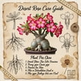 Perennial Desert Rose Tubers – Lush Natural Green Foliage, Drought ...