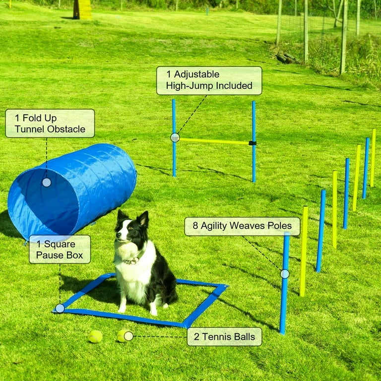 Dog Jumping Poles