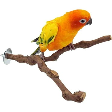 Wild Harvest Chewable Perch for Cockatiels, Parakeets and Other Caged ...